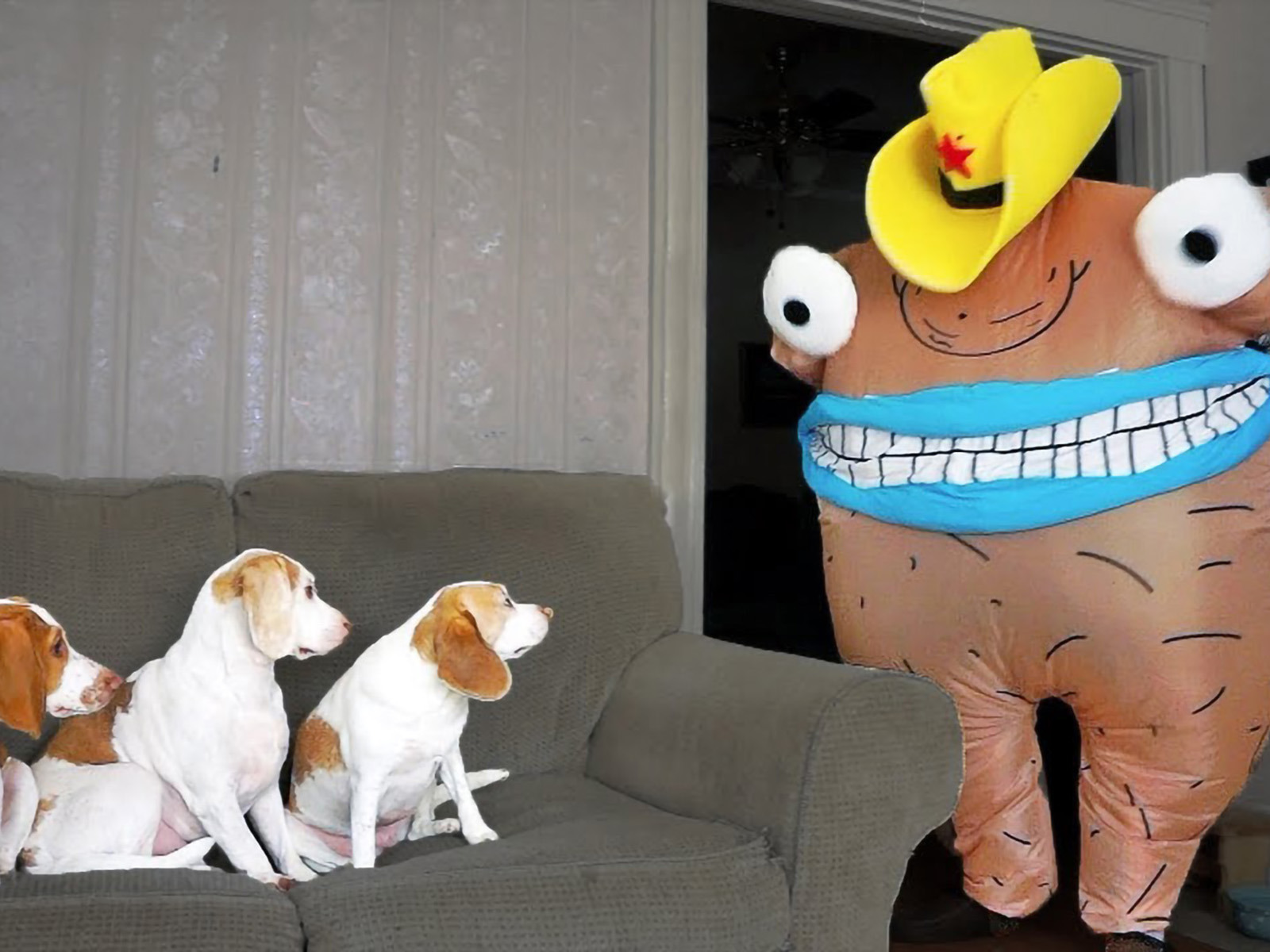 Prime Video: Maymo Gets Pranked