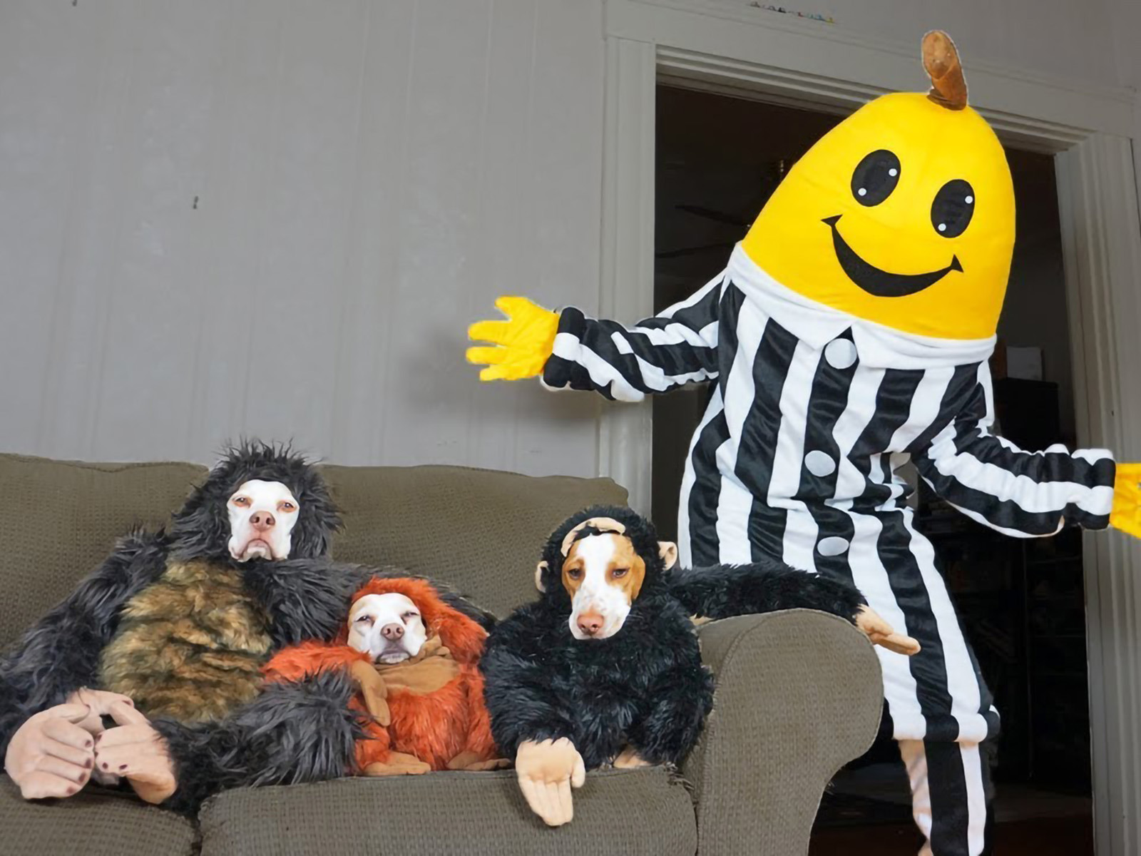 Prime Video: Maymo Gets Pranked