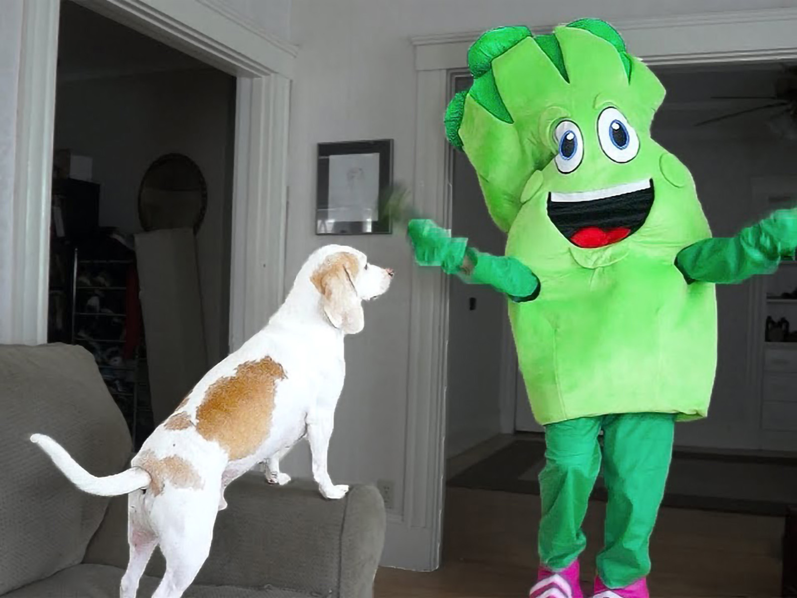 Prime Video: Maymo Gets Pranked