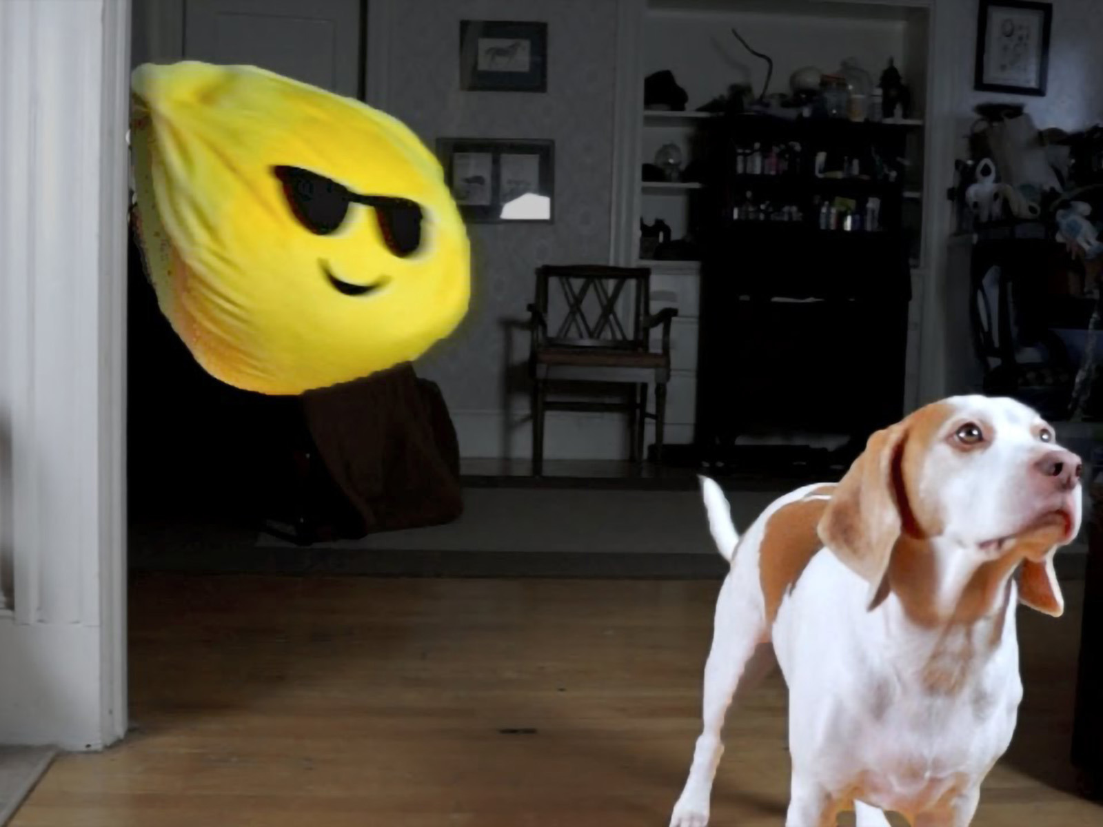 Prime Video: Maymo Gets Pranked