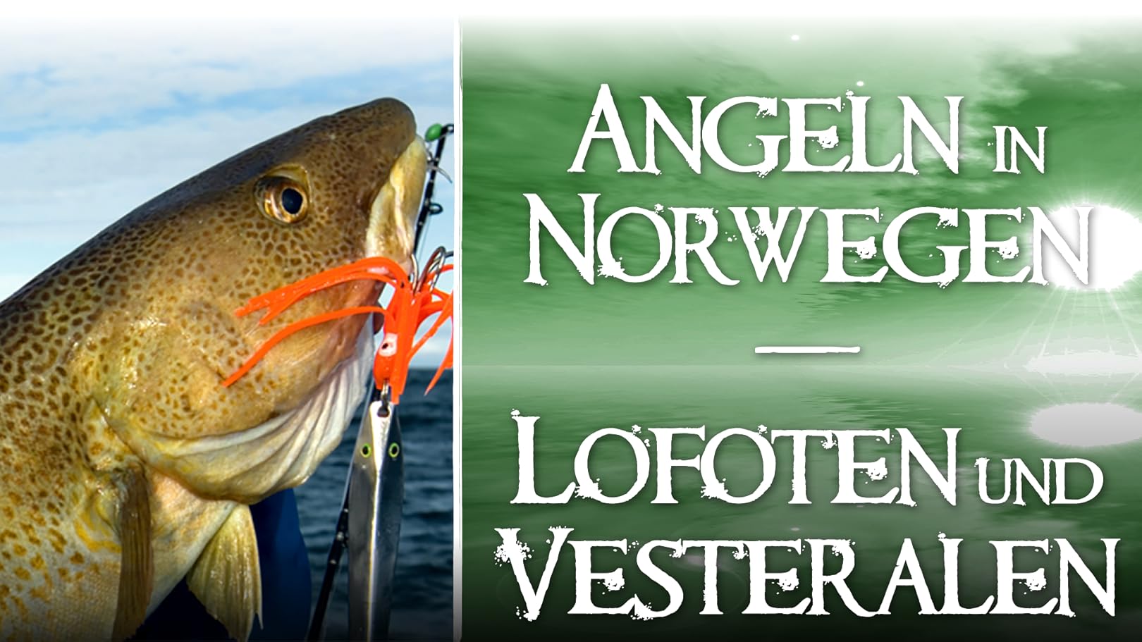 Amazon.de: Angeln in Norwegen - Lofoten und Vesterålen ansehen | Prime ...