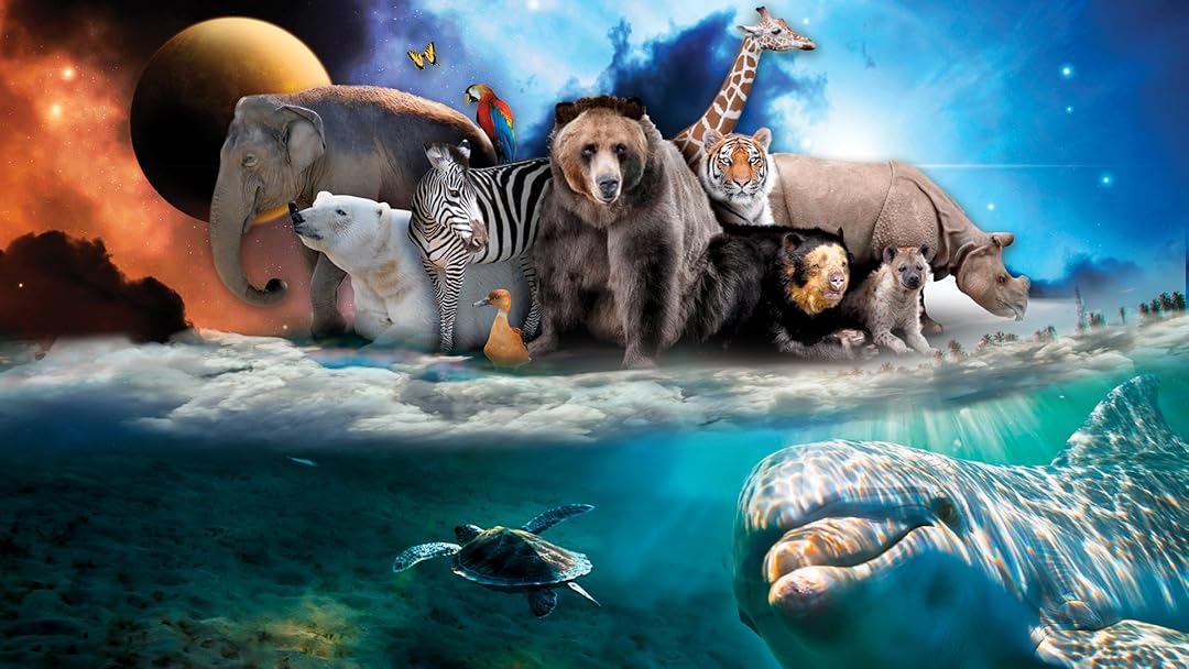 Watch Wonder's of God's Creation | Prime Video