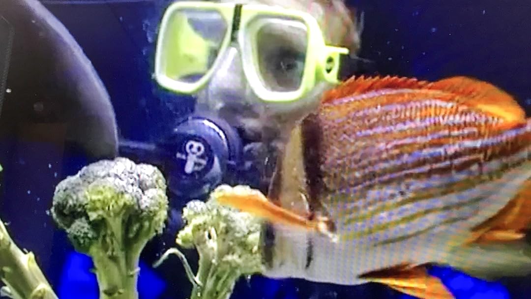 Amazon.com: The Big Aquarium : William VanDerKloot: Movies & TV