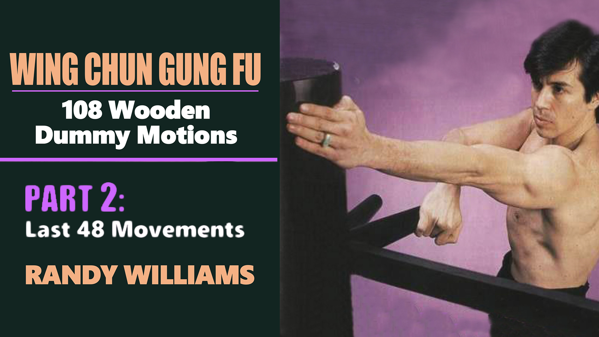 Watch Wing Chun Gung Fu 108 Wooden Dummy Motions Randy Williams Part 1 ...