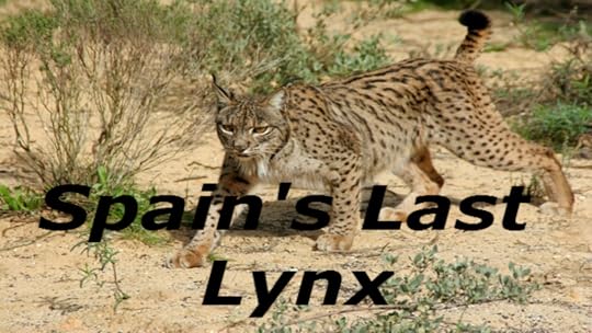 Amazon.com: Watch Spain's Last Lynx | Prime Video