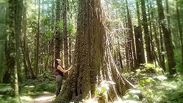 Watch Intelligent Trees | Prime Video