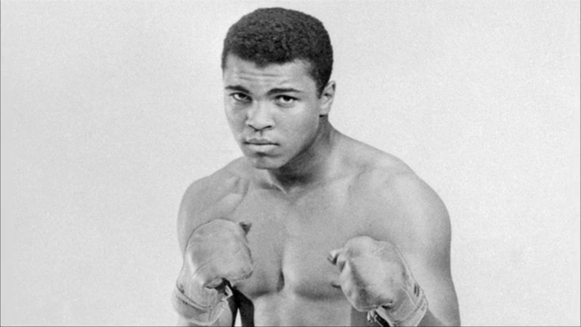 Amazon.com: America's Treasures : Annabelle Hester: Movies & TV