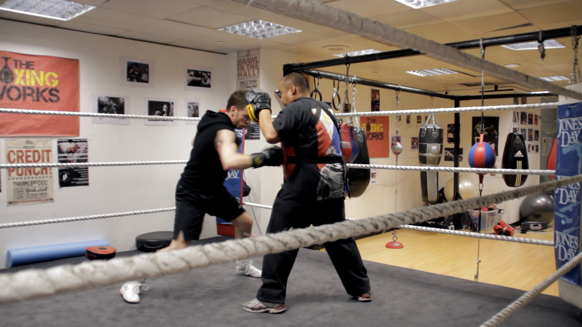 Watch Why I Fight! | Prime Video