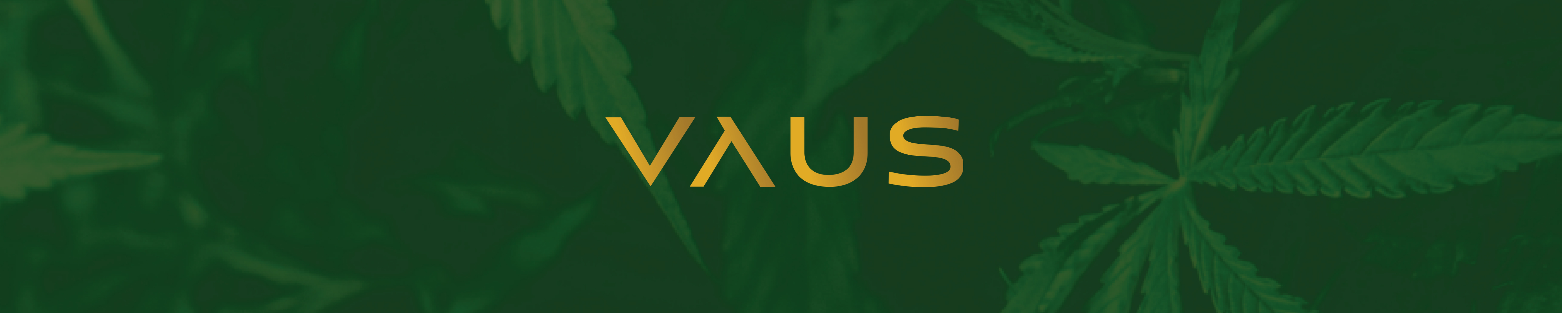 Amazon.fr: Vaus