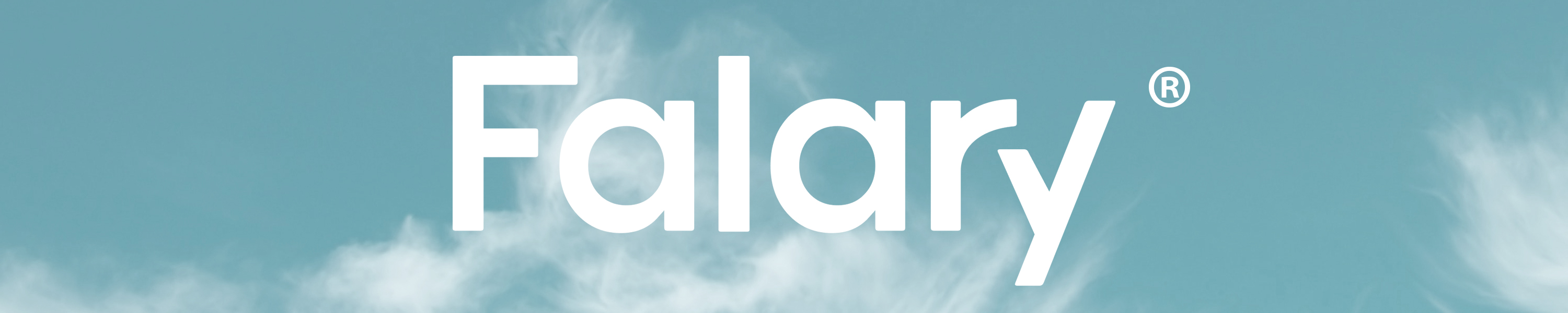 Amazon.fr: Falary: Culotte Femme