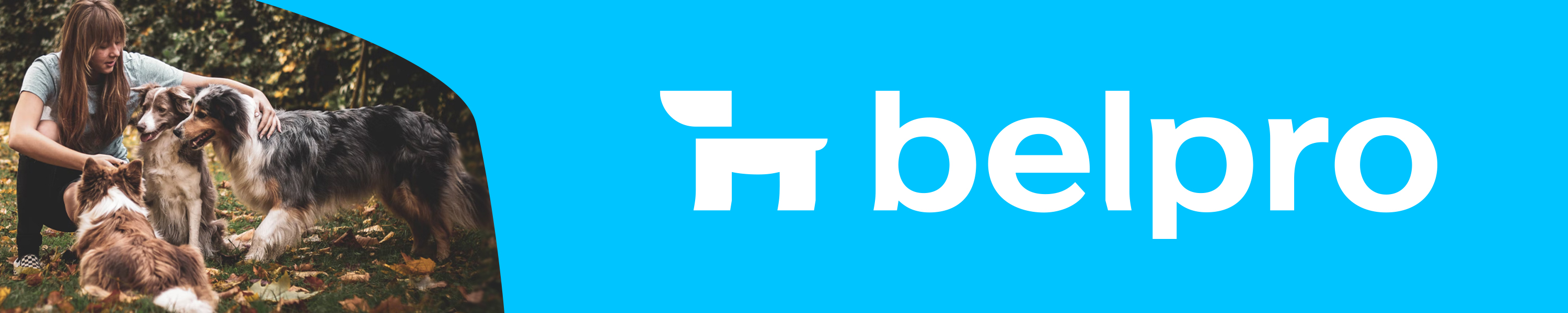 Amazon.co.uk: BELPRO