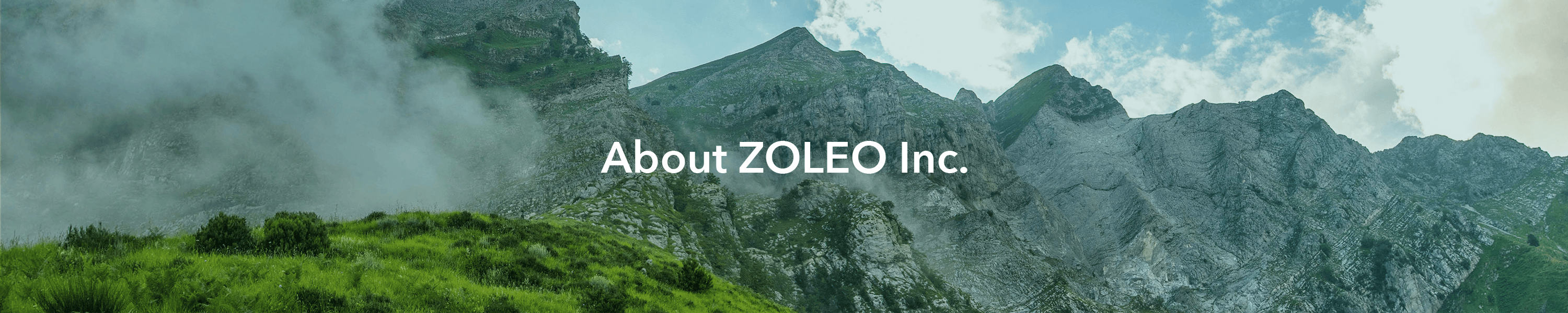 Amazon.co.uk: ZOLEO: About Us