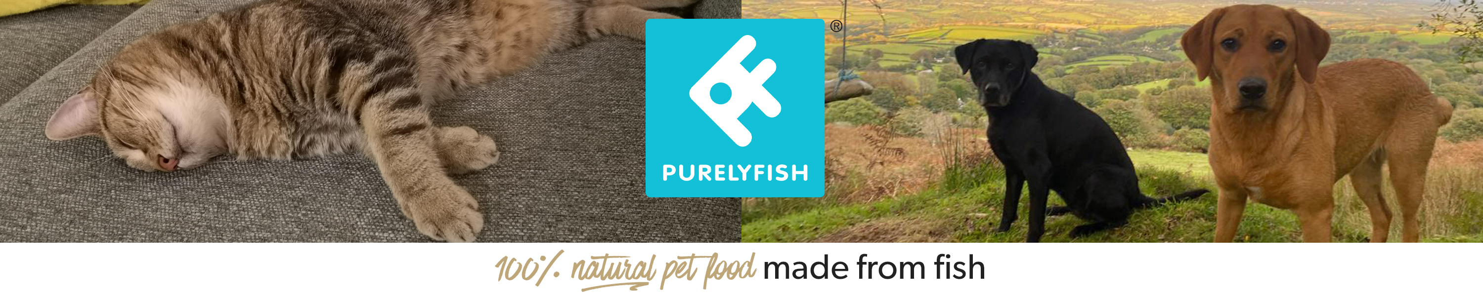 Amazon.co.uk: Purely Fish