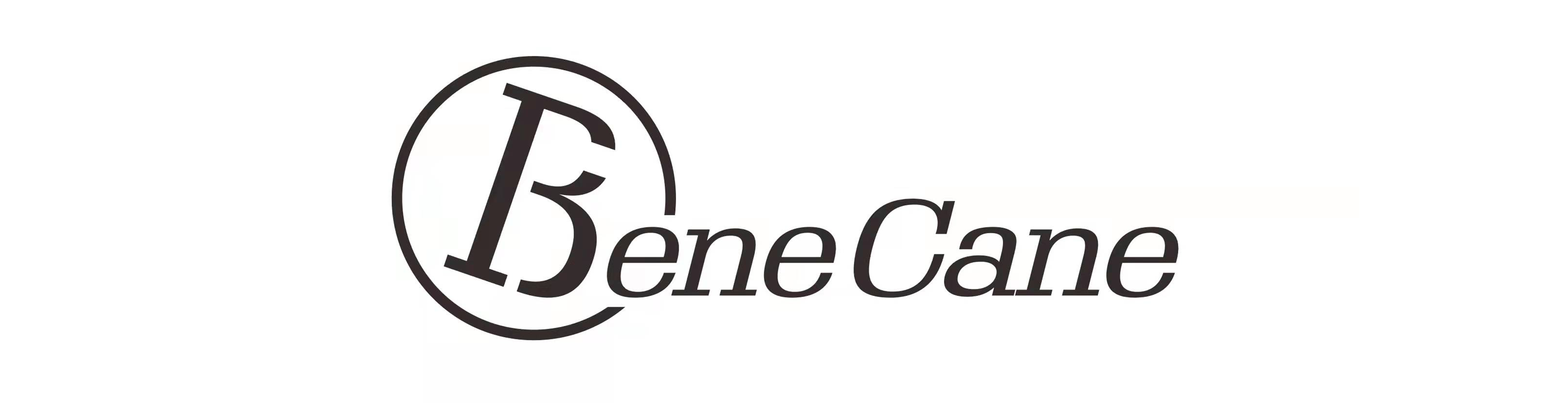 Amazon.co.uk: BeneCane: FOLDING CANE