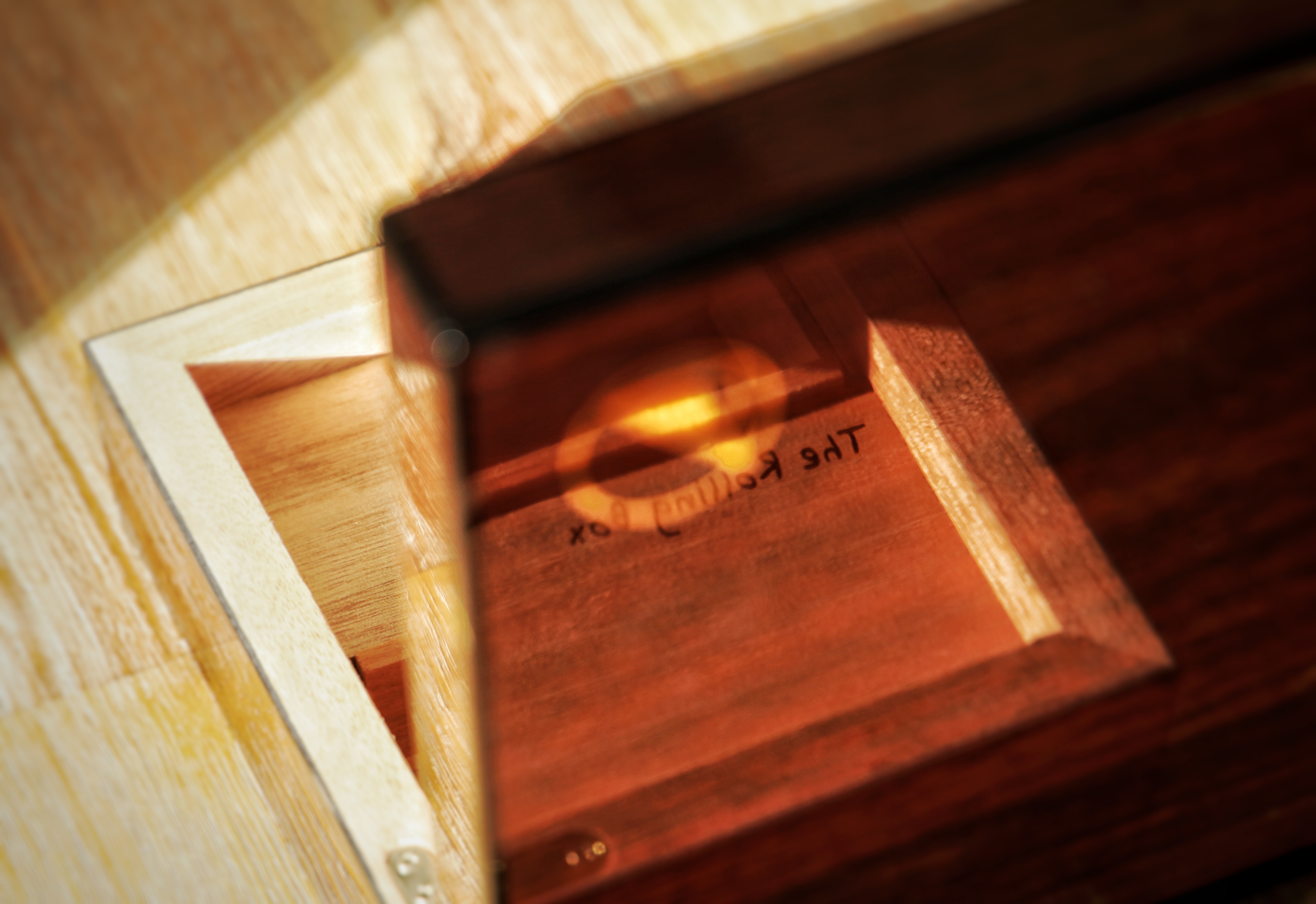 Amazon.de: Wilhelm Werner The Rolling Box