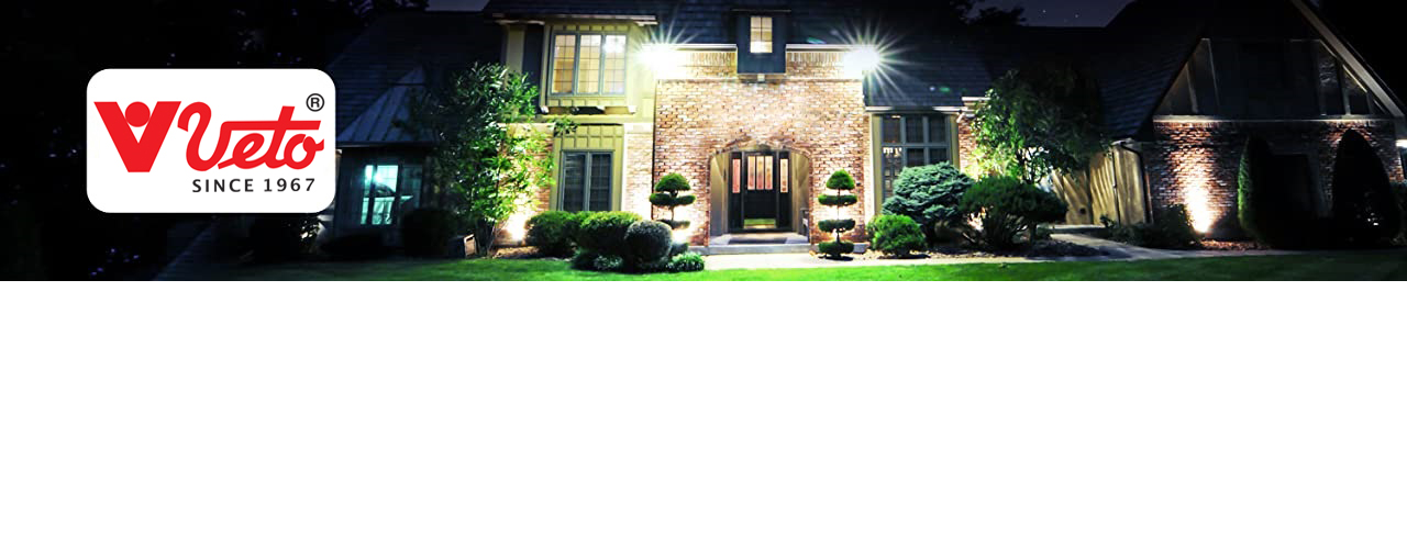 Amazon.in: Veto: LED FLOOD LIGHT