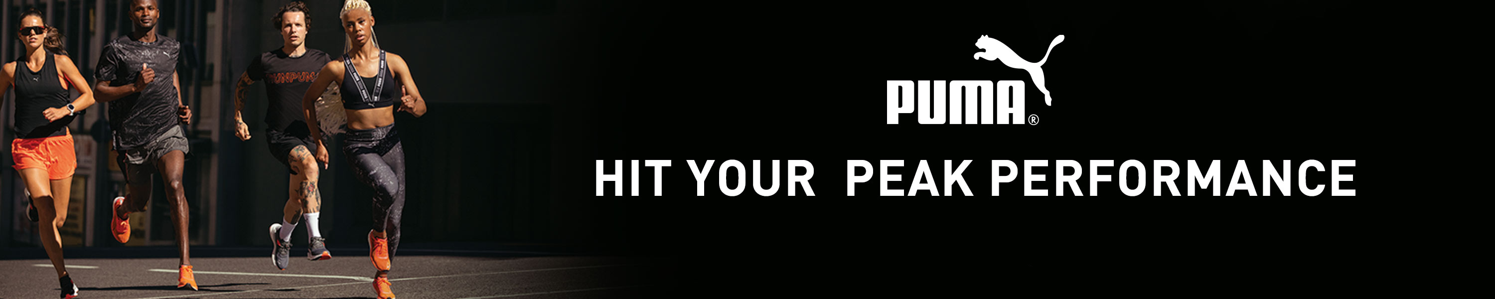 Amazon.in: STAYFit: Puma