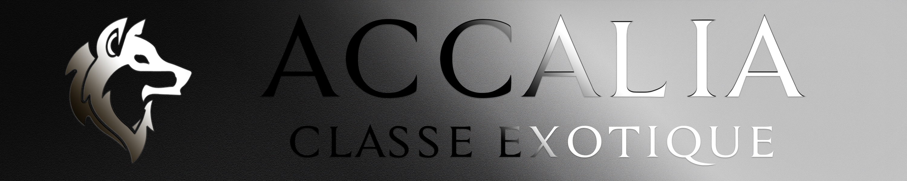 Amazon.in: Accalia