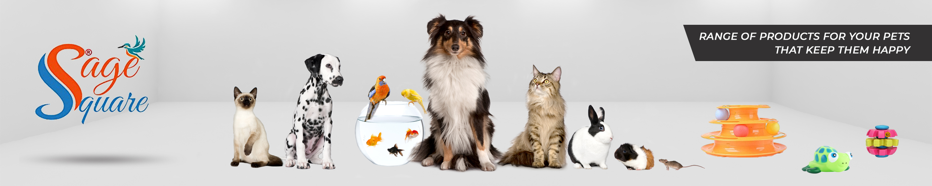 Amazon.in: Sage Square: Decoration