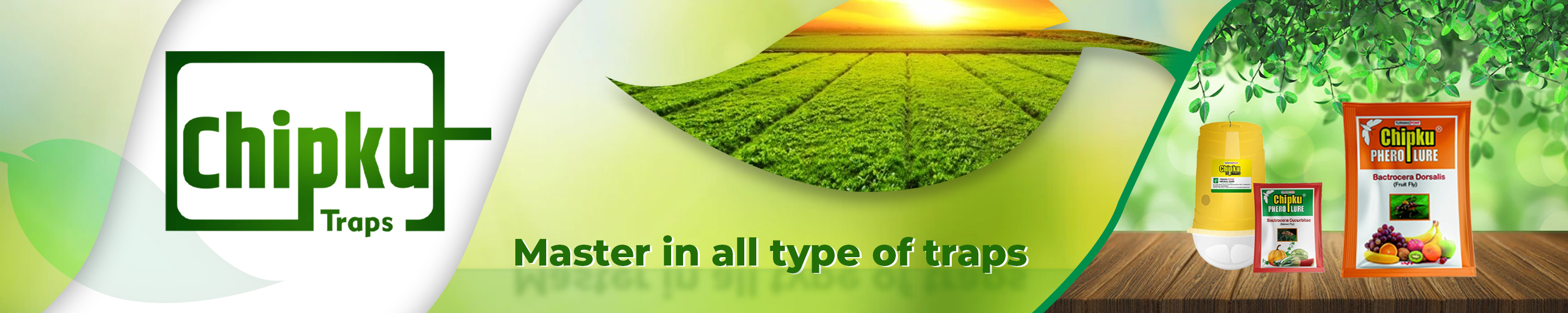 Amazon.in: Chipku: Rat Cage Trap