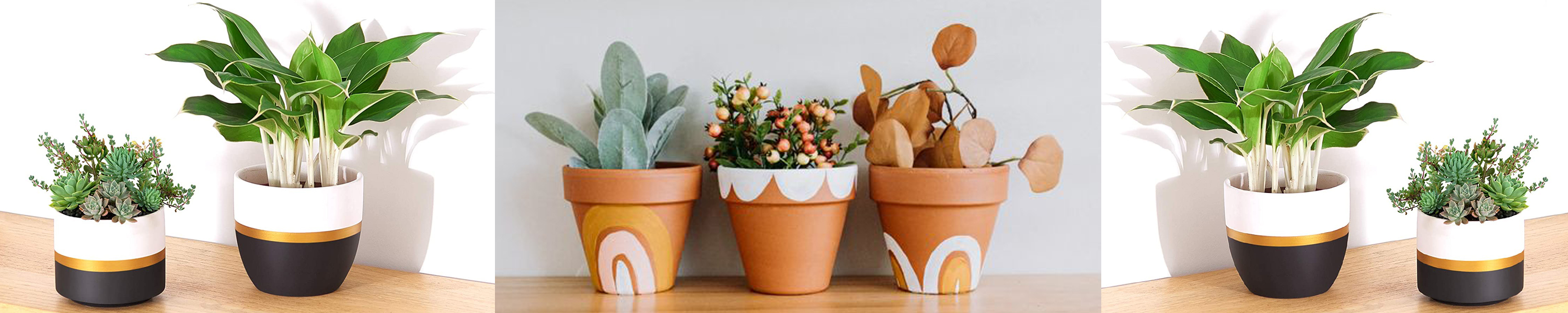 Amazon.in: GREENON PLANTERS: Best seller