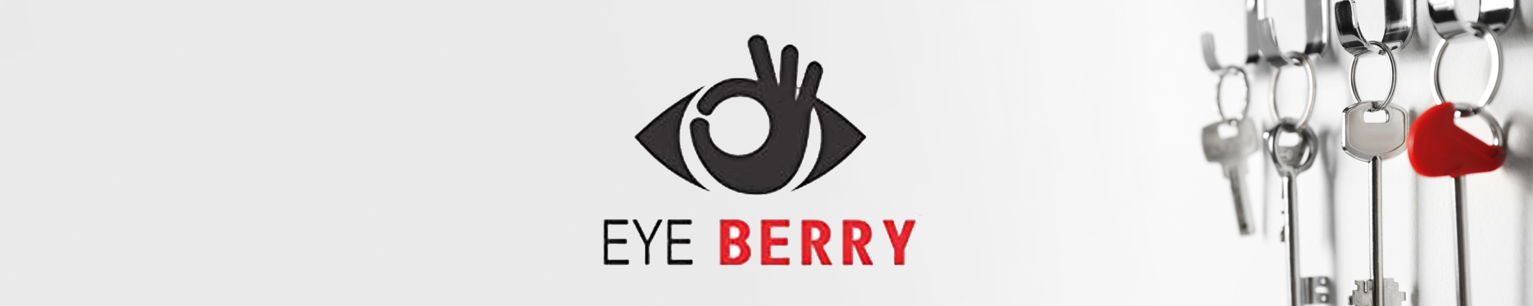 Amazon.in: EYE BERRY BASI SALES WITH MISCELLANEOUS DEVICE: DOOR VIEWER