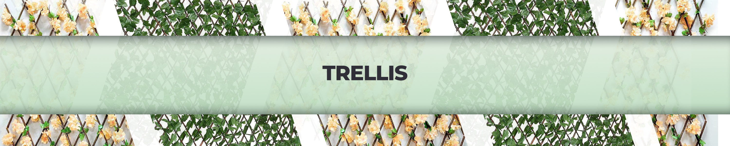 Amazon.in: Golden Cart: Ivy Green Leaves