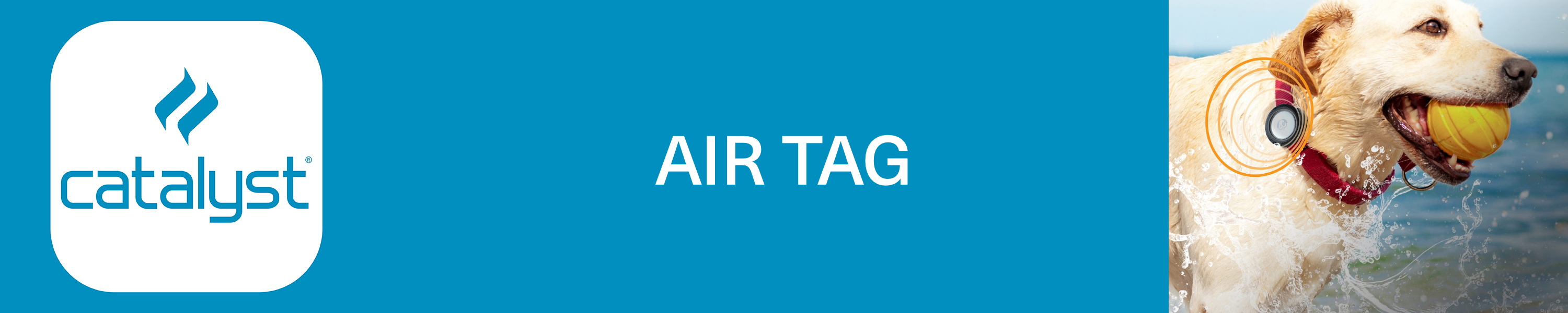 Amazon.co.uk: Catalyst: Air Tag