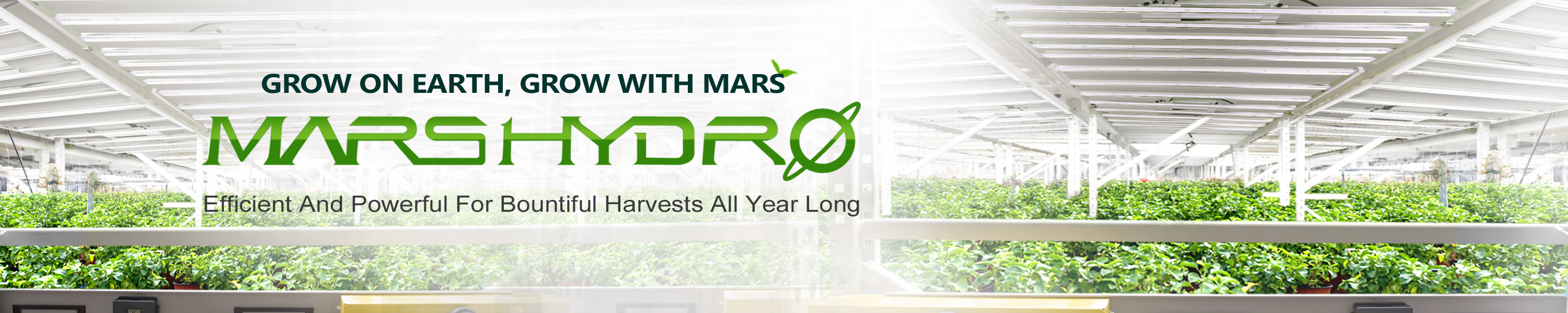 Amazon.co.uk: MARSHYDRO: Grow Tent
