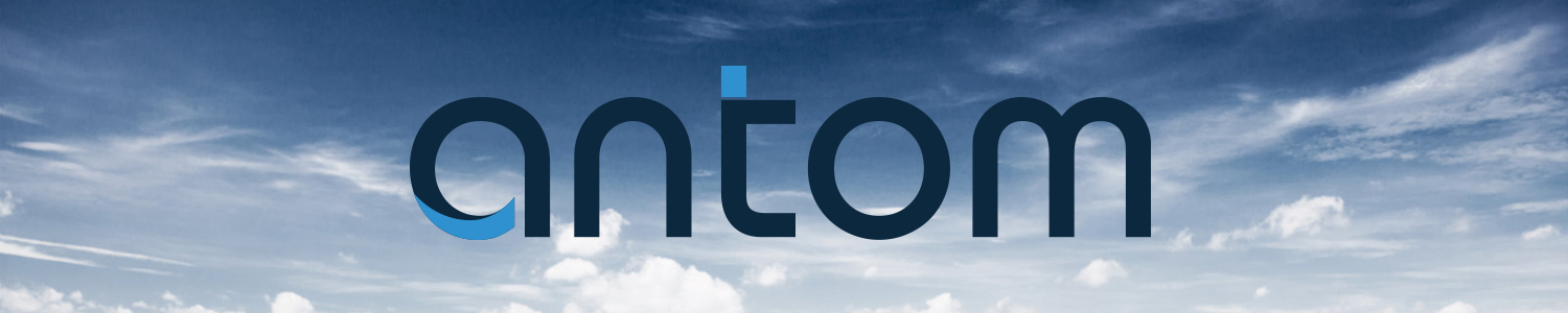 Amazon.co.uk: ANTOM: New Arrival