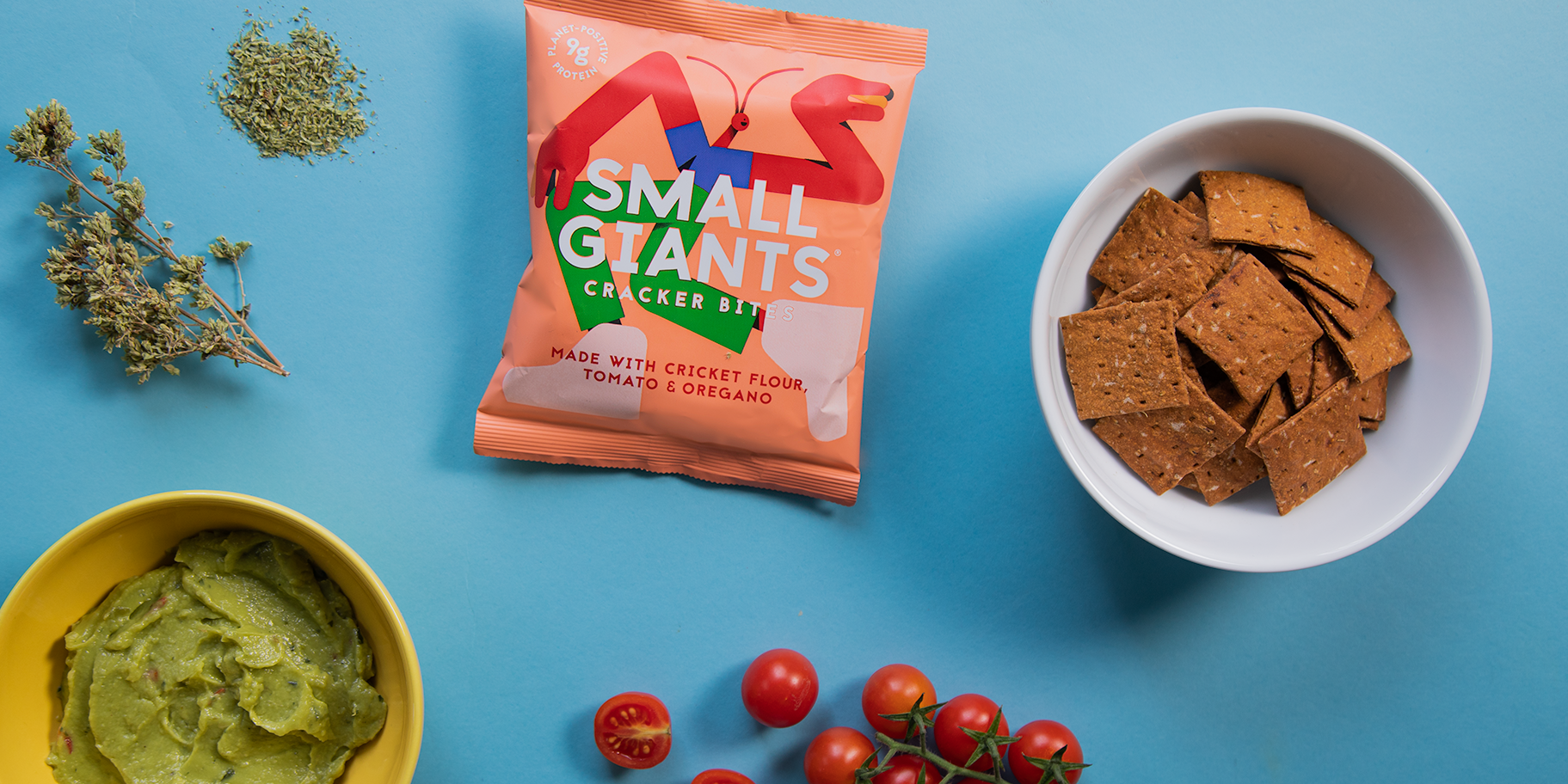 Amazon.co.uk: Small Giants: Products