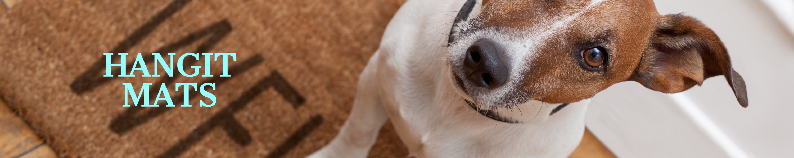 Amazon.co.uk: HANGIT