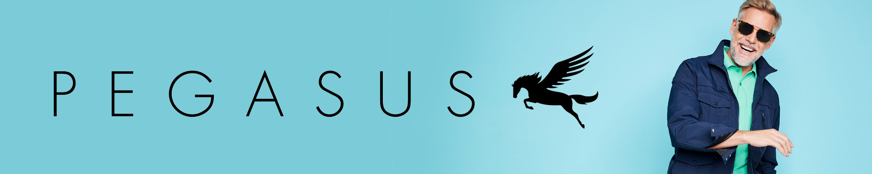 Amazon.co.uk: Pegasus