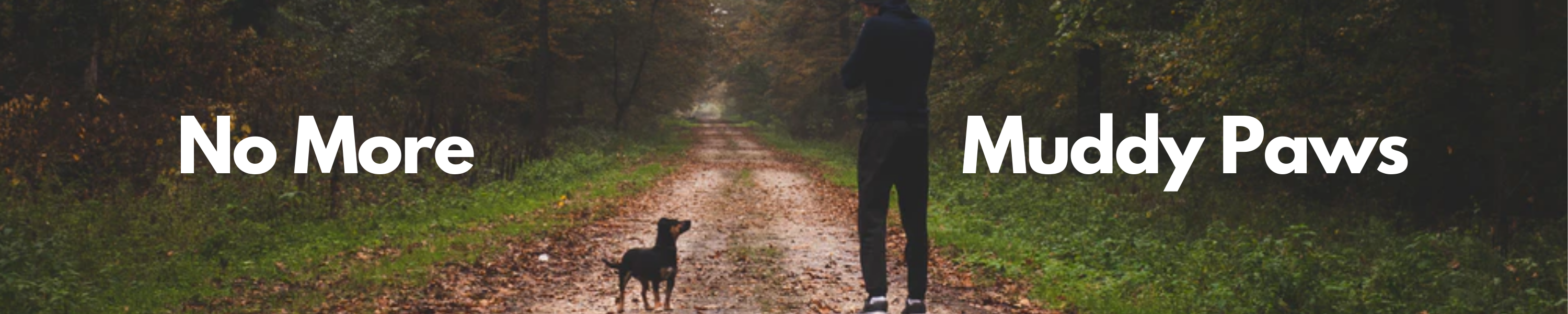 Amazon.co.uk: Easy Paws