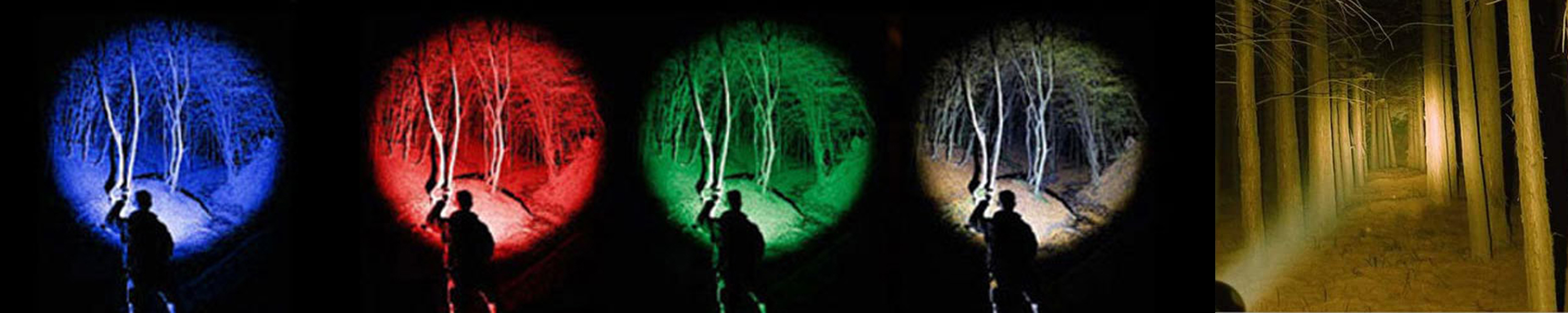 Amazon.co.uk: WESLITE / LIGHT UP YOUR WAY: Torch Green Blue