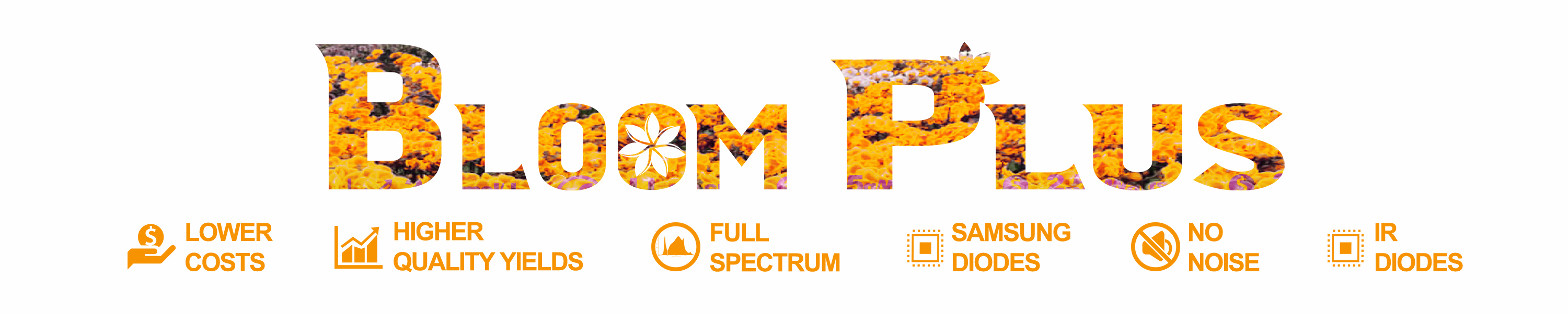 Amazon.de: BLOOM PLUS: BP-SERIES