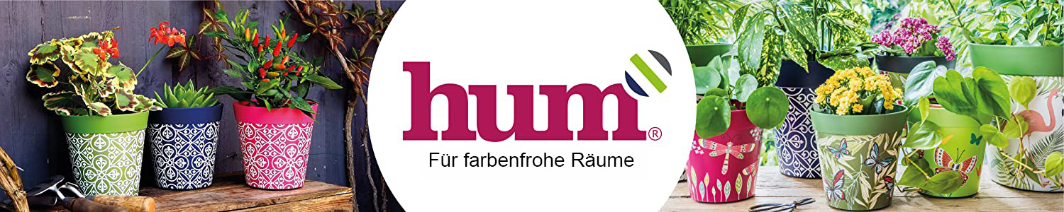 Amazon.de: Hum Flowerpots