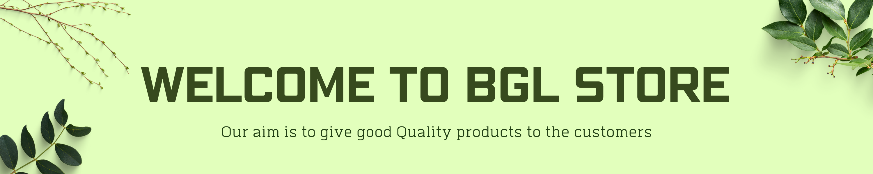 Amazon.in: BGL BAGS: Storage bags