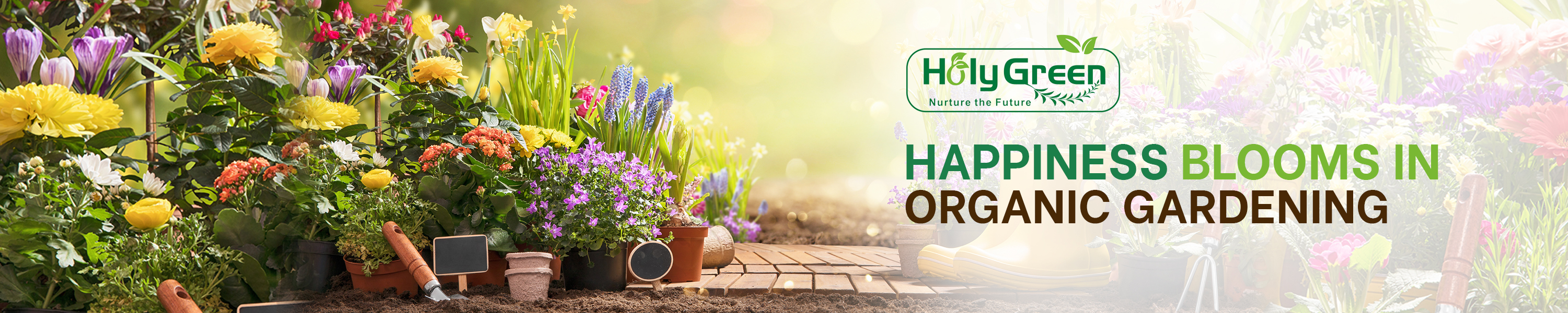 Amazon.in: Holy Green-Nurture the Future: Bio Insecticide