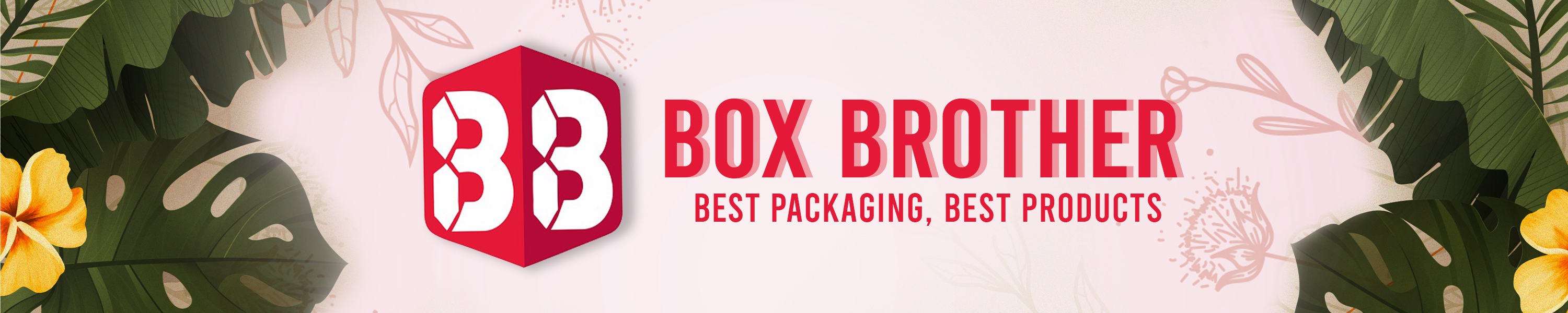 Amazon.in: Box Brother