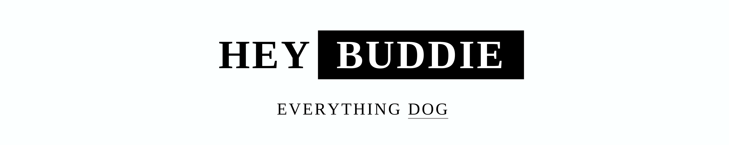 Amazon.in: HEY BUDDIE - Everything Dog