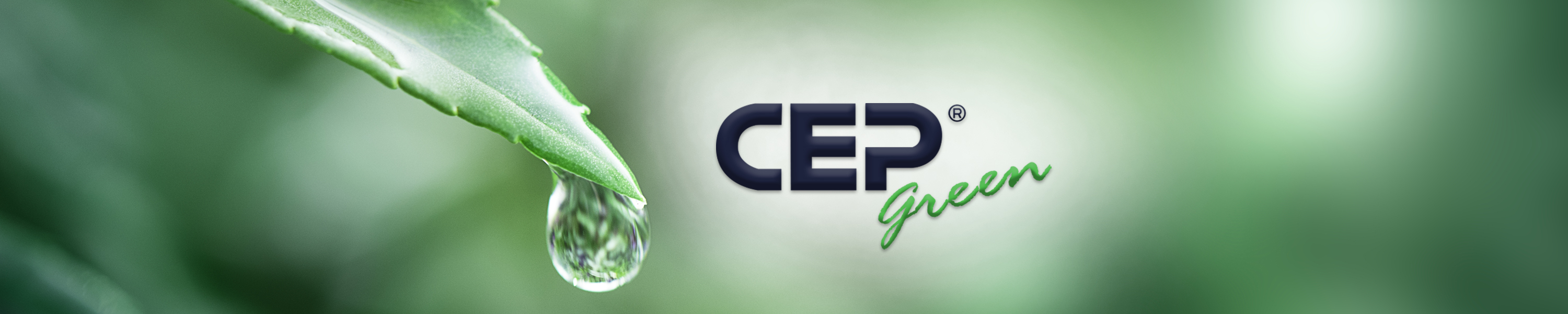 Amazon.it: CEP Green: MOTOSEGHE