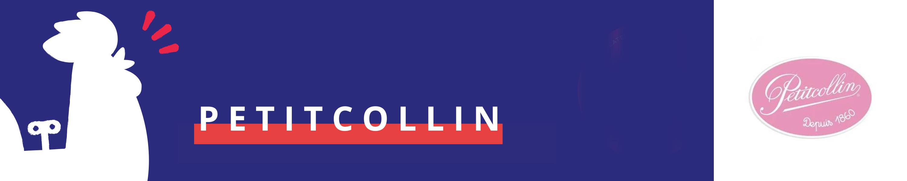 Amazon.in: ACFJF: Petitcollin