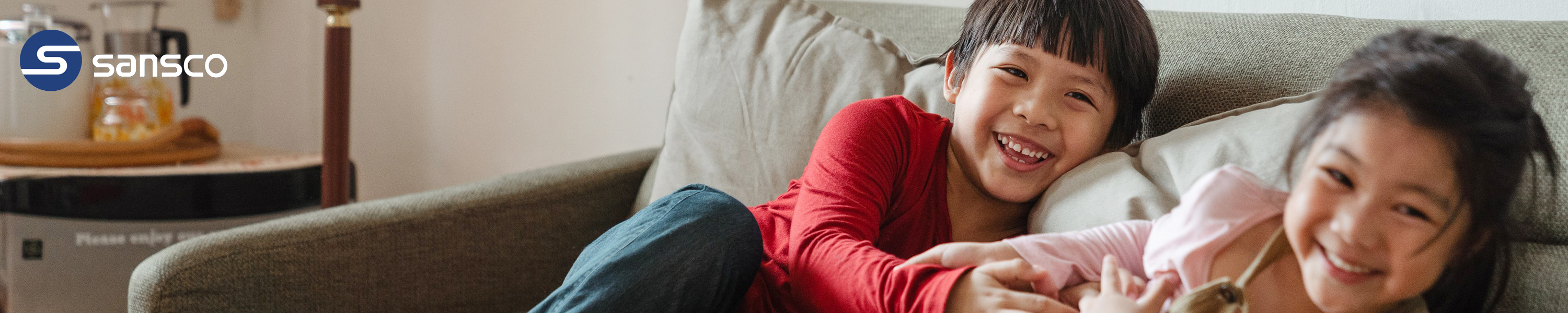 Amazon.co.uk: SANSCO