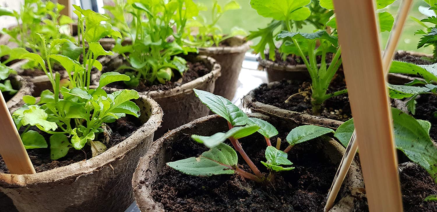 Amazon.co.uk: e-pots