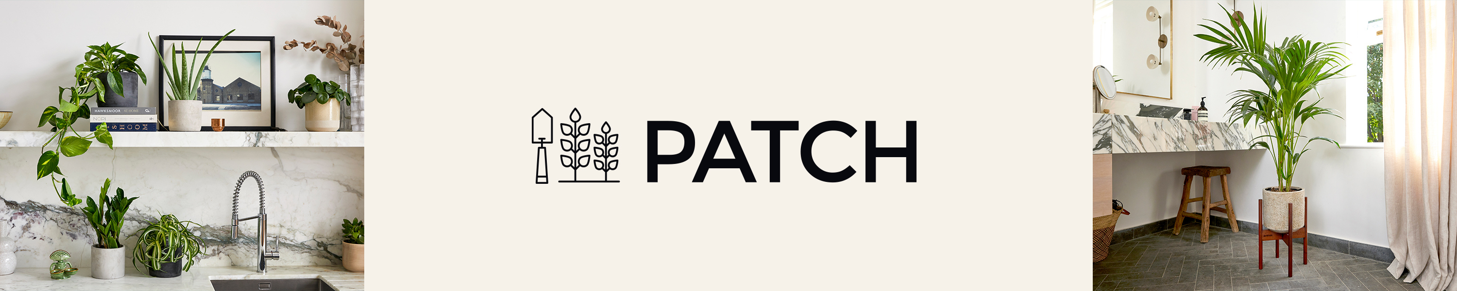 Amazon.co.uk: Patch Plants: Indoor Plants