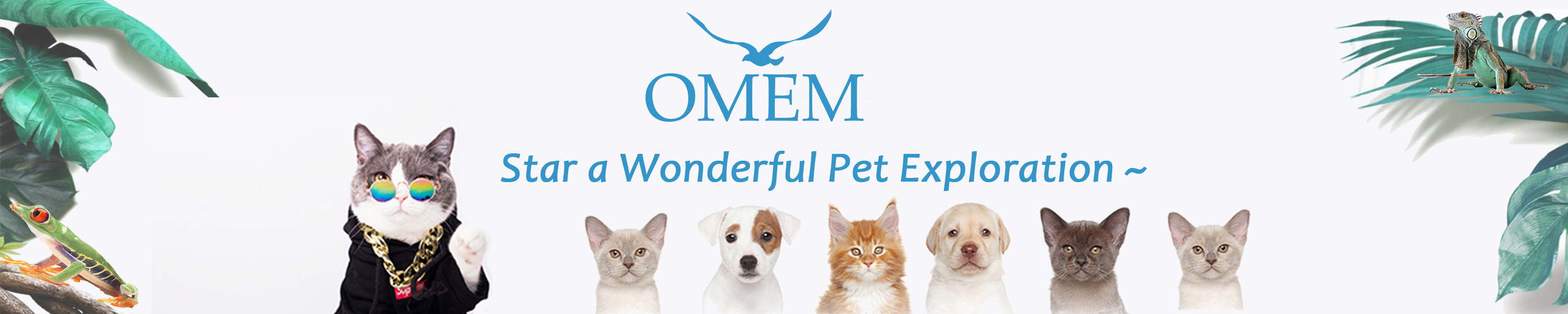 Amazon.co.uk: OMEM