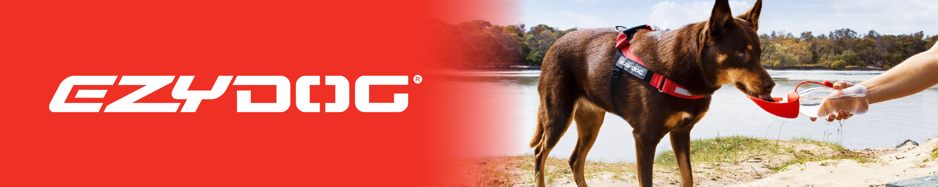 Amazon.co.uk: EzyDog