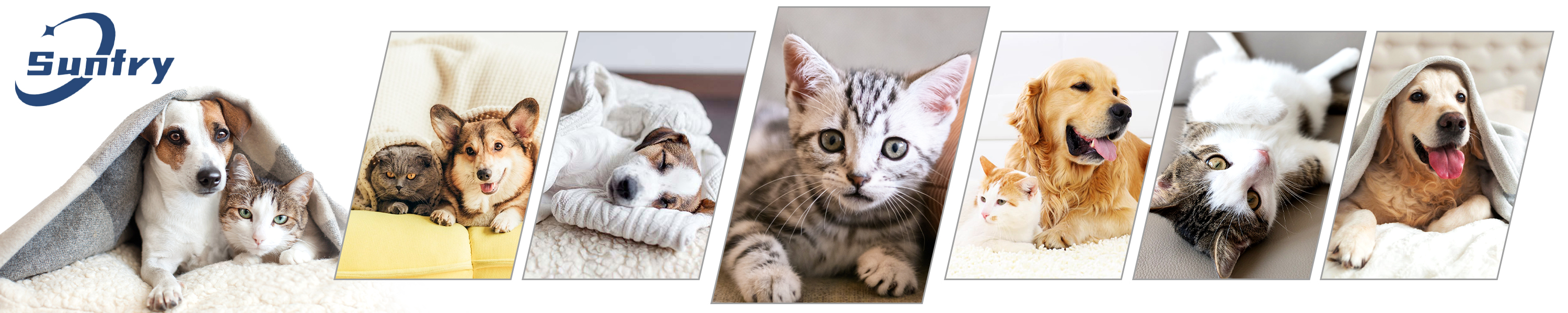 Amazon.co.uk: Sunfry: Pet Supplies