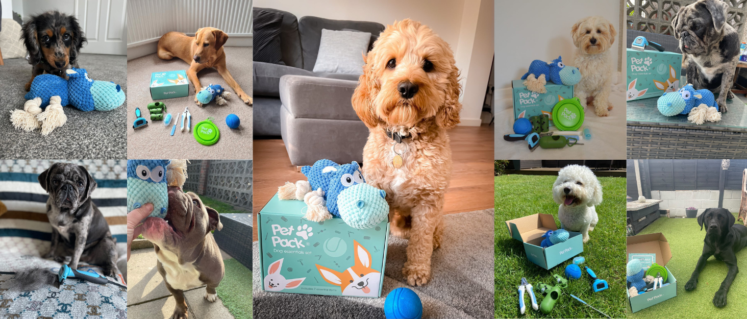 Amazon.co.uk: Pet Pack